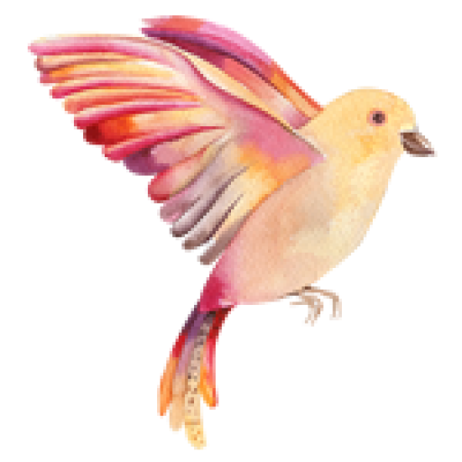 The Quiet Bird - The quiet song bird sings